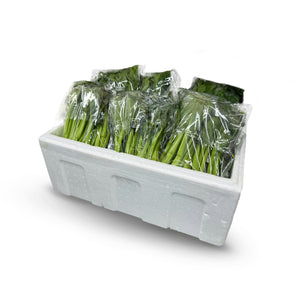 HK CHYE SIM 香港菜心 (20x250g) 5KG (CTN)