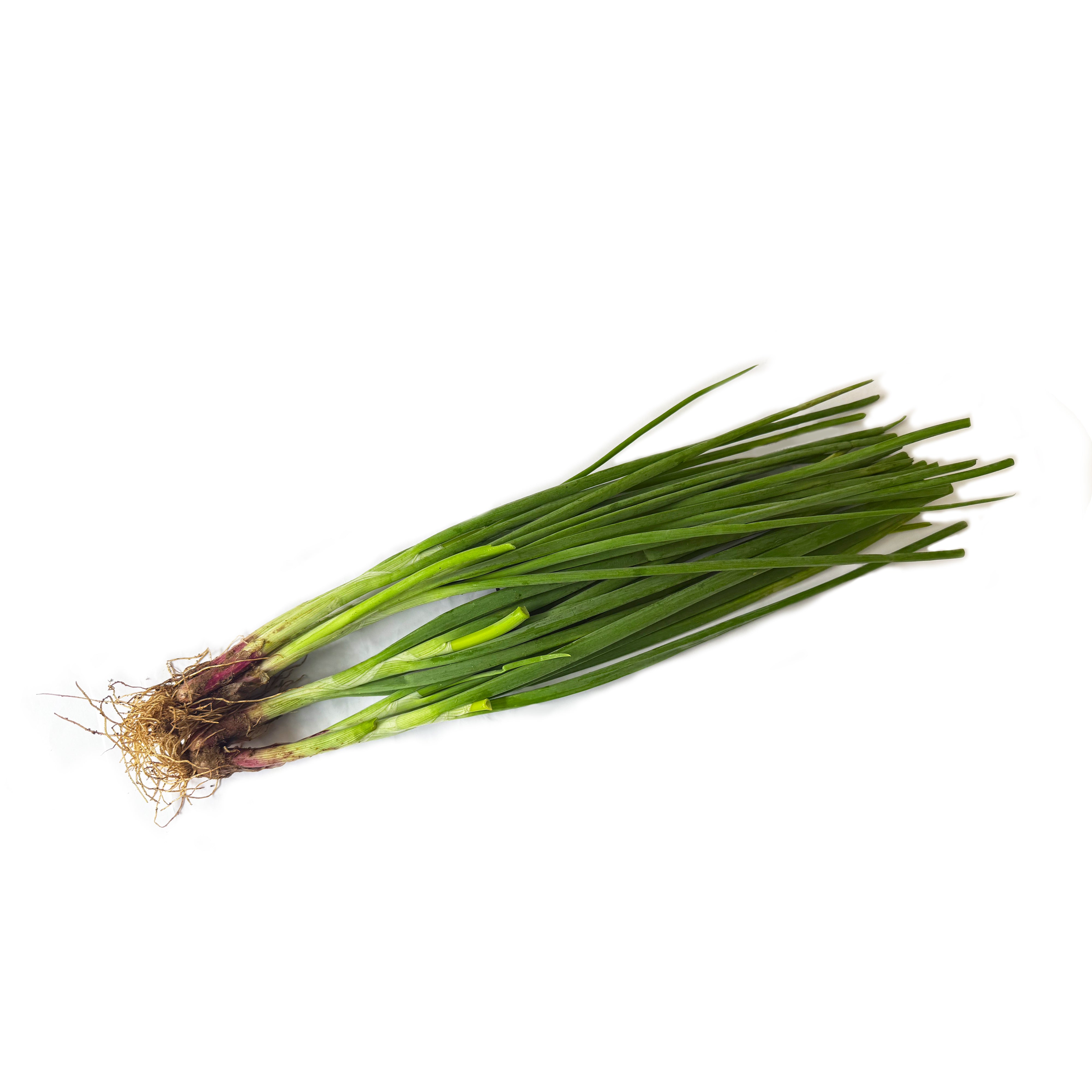 SPRING ONION (MAL) 马来 青葱 PKT – Natural Supermarket